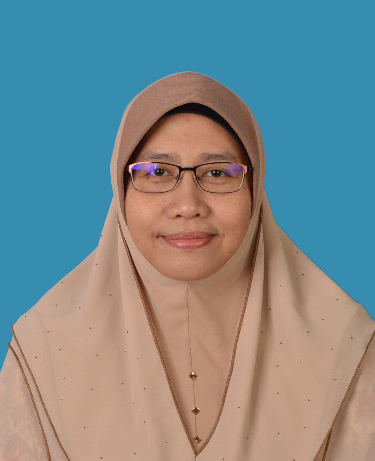 CURRICULUM VITAE PROF. MADYA DR. HANIZAH BINTI MOHD YUSOFF